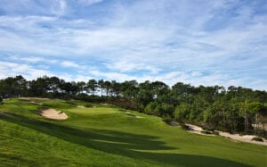 Discover the West Cliffs – West Cliffs