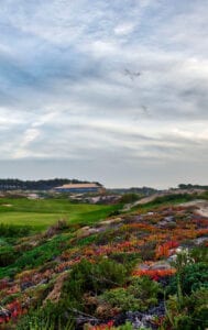 West Cliffs Golf Course – West Cliffs